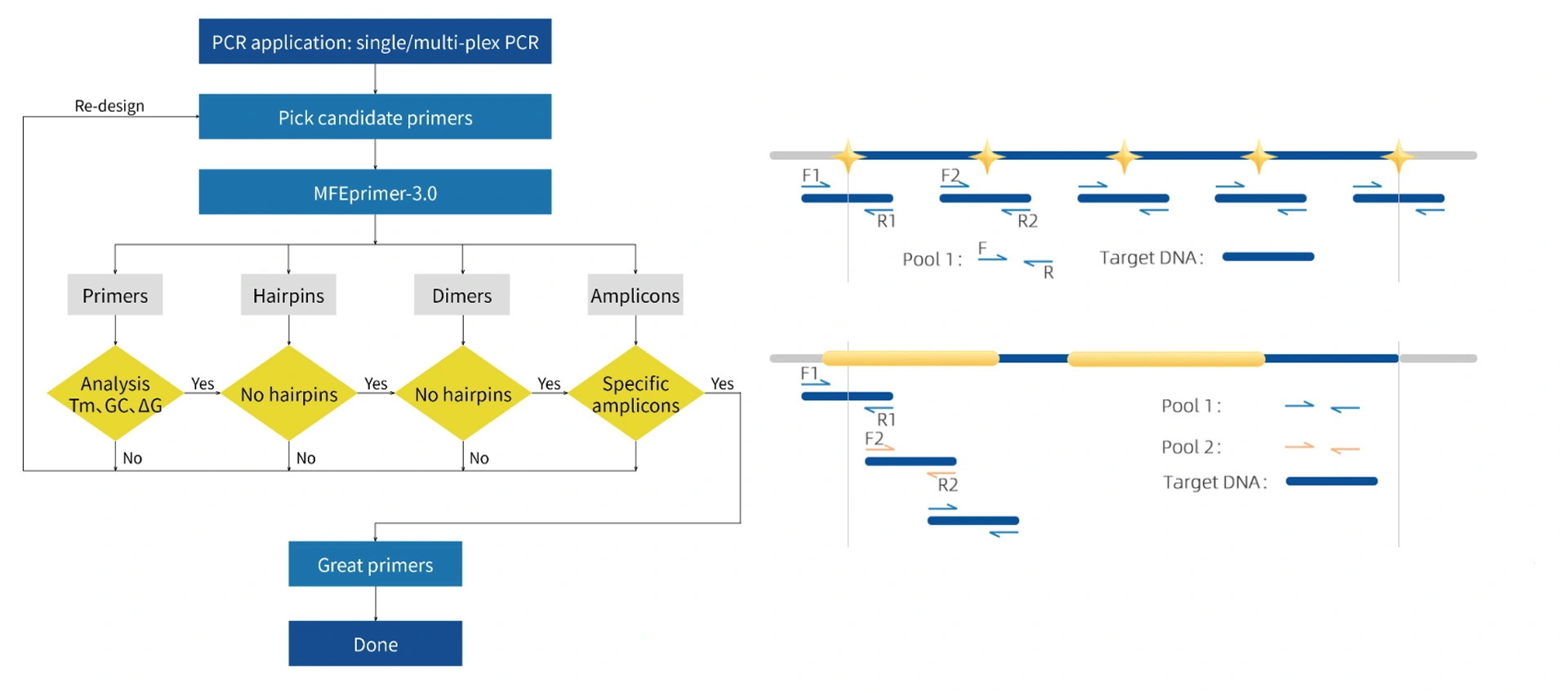 Custom Multiplex Amplicon Sequencing panels: iGeneTech